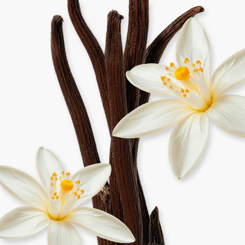 Althaïr Eau de Parfum (75ml, 125ml) – Parfums de Marly Official Website ...