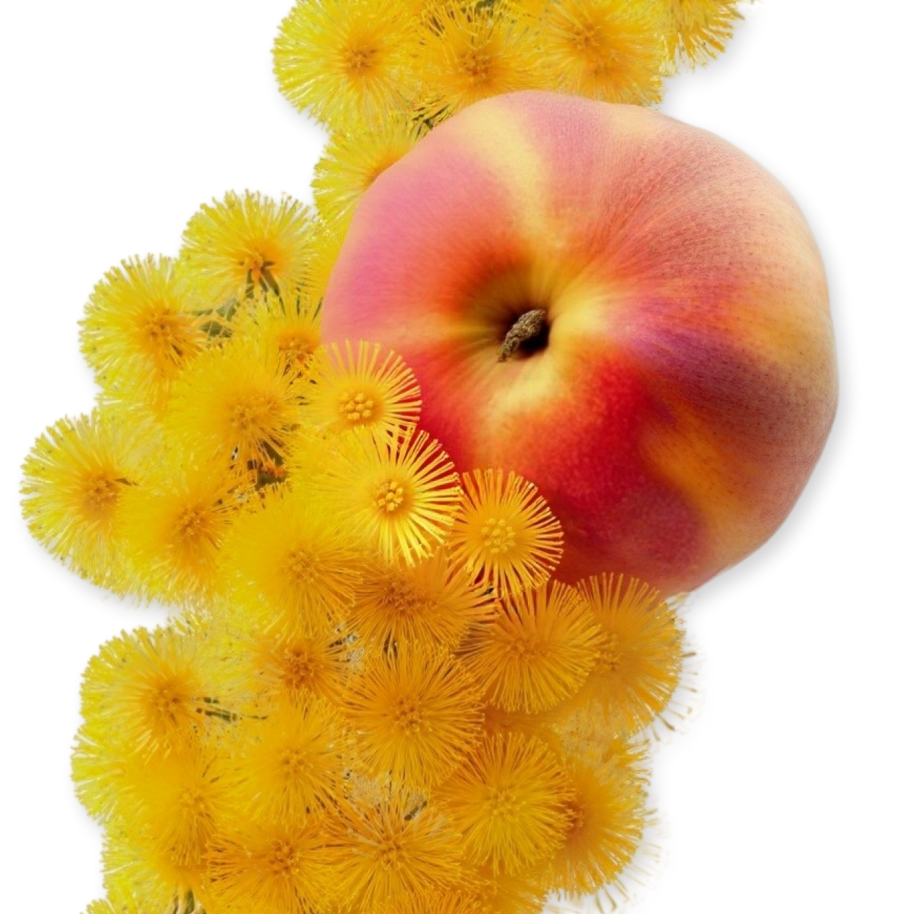 Cassili Eau de Parfum (75ml) - Parfums de Marly Official Website ...