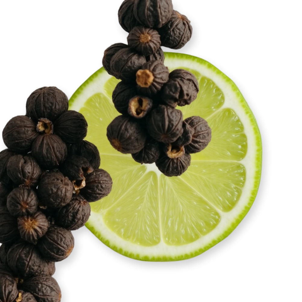 CASTLEY – Parfums de Marly USA