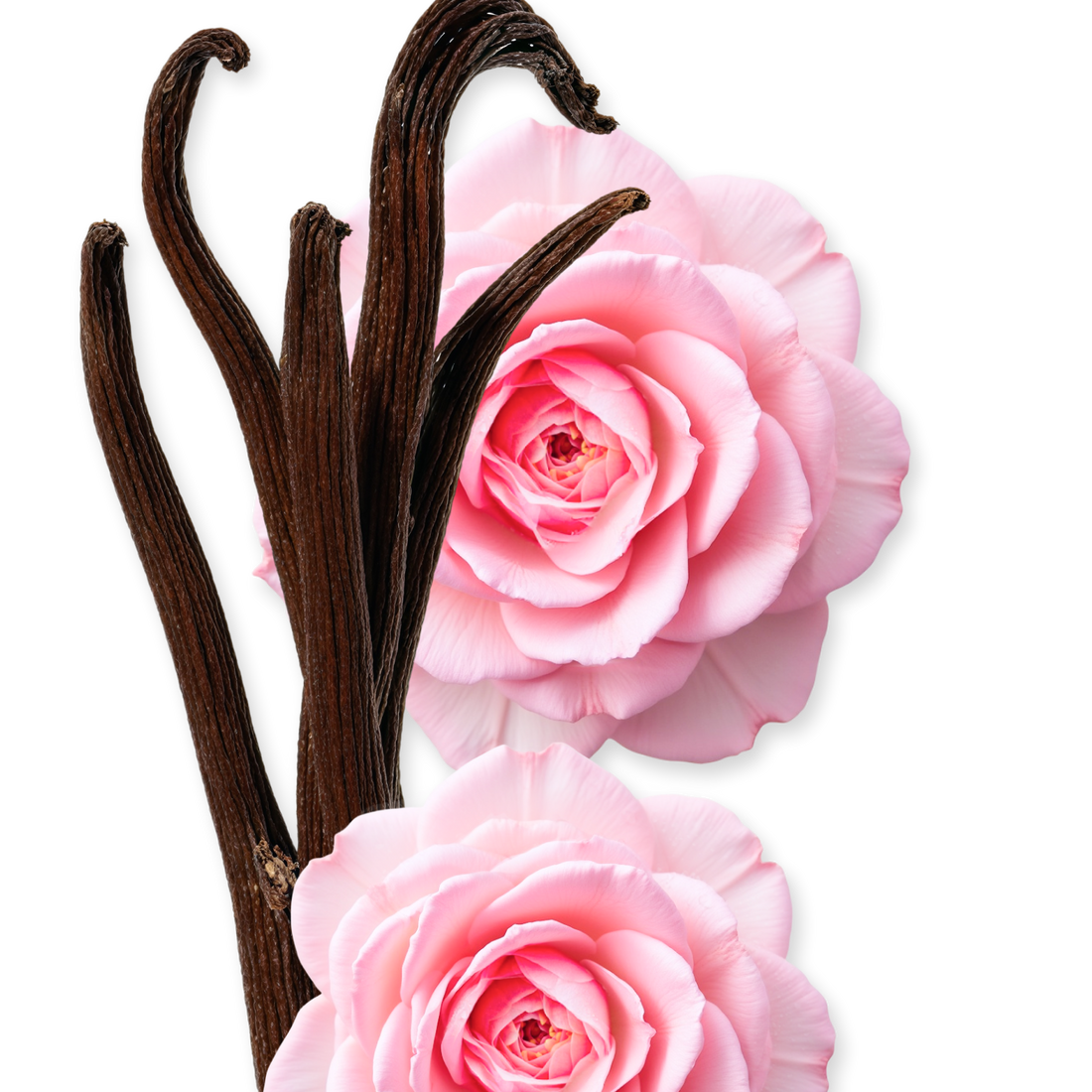 Delina Exclusif Parfum (75ml) - Parfums de Marly Official Website ...