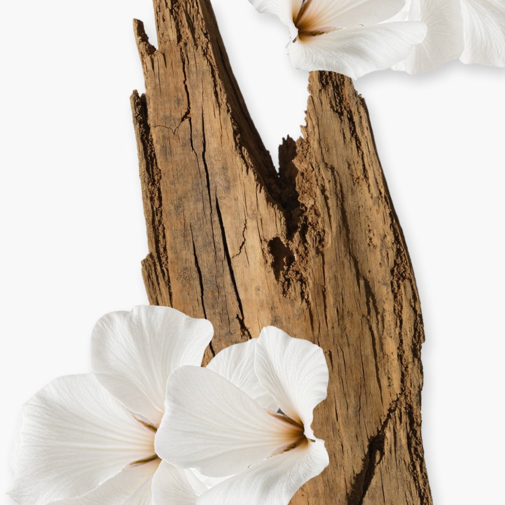 VALAYA REFILLABLE BODY CREAM – Parfums de Marly USA
