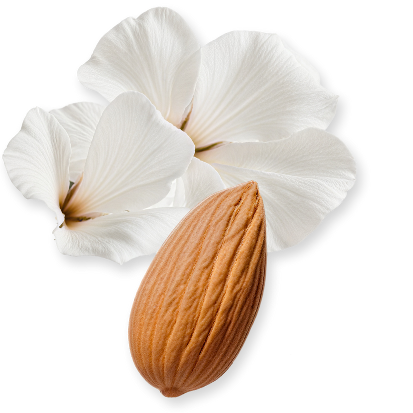 Valaya Exclusif Eau de Parfum (75ml) - Parfums de Marly Official ...